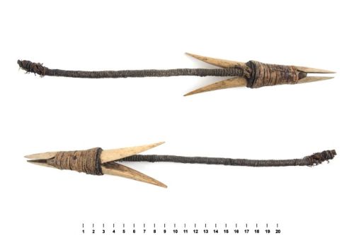 Harpoon Head from the Hunterian | Northwest Coast Archaeology