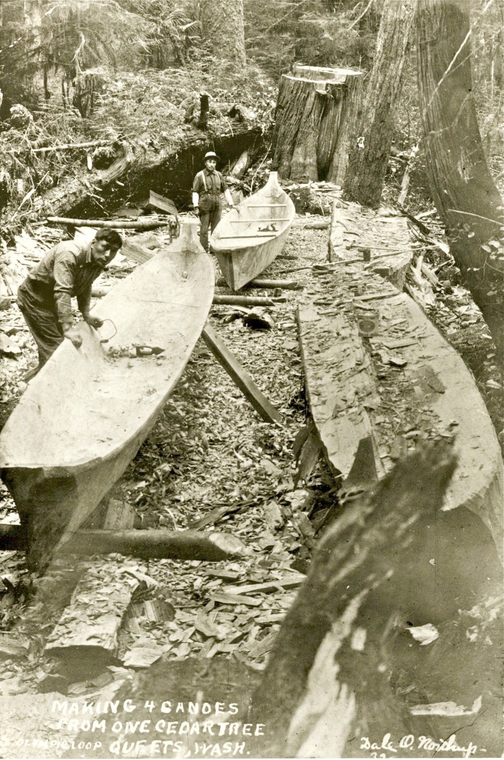 One Tree, Four Canoes | Northwest Coast Archaeology