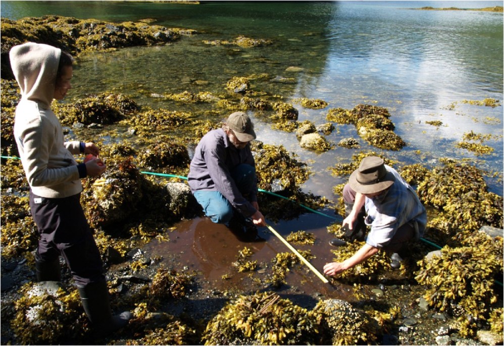 fieldwork | Northwest Coast Archaeology | Page 3
