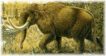Yank that sucker out! | Northwest Coast Archaeology
