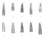 Puget Sound Clovis | Northwest Coast Archaeology