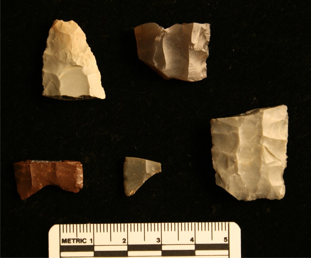 Fluted Points from the Bering Land Bridge | Northwest Coast Archaeology