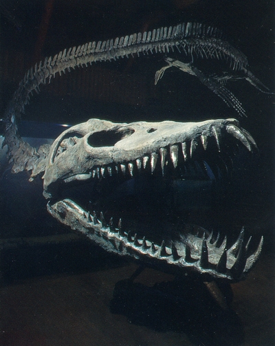 Heritage Dinosaurs? | Northwest Coast Archaeology