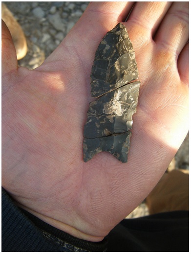 Raven Bluff: another dated Alaskan fluted point site | Northwest Coast ...