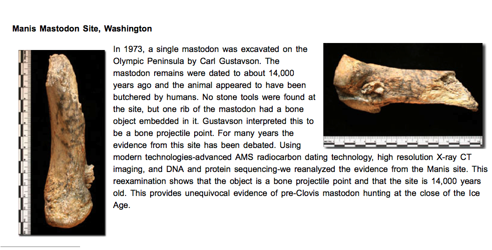 Intriguing rumours about the Manis Mastodon site | Northwest Coast ...