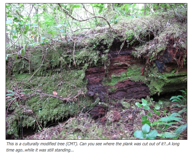 Tagging along with Archaeologists in Quatsino Sound | Northwest Coast ...