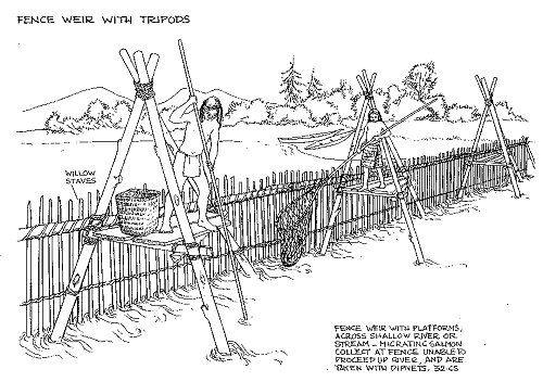 R.I.P Hilary Stewart, 1924-2014 | Northwest Coast Archaeology