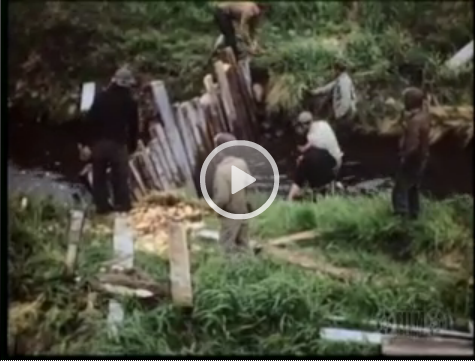 Alaskan Fish Weir Photos | Northwest Coast Archaeology